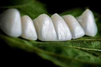 Will a Small Chipped Tooth Smooth Out? Myths and Facts